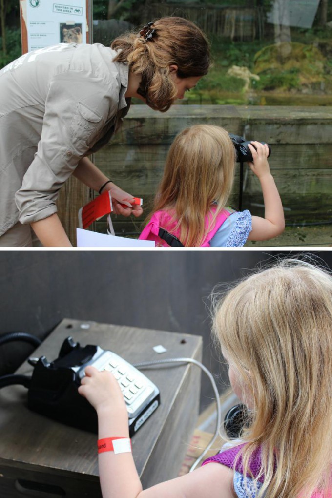 School holiday ideas: Picnic at the zoo | My Cornish Year
